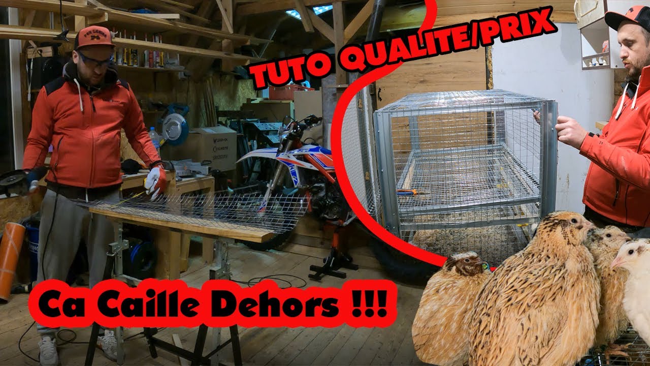 Fabrication de cage pour les cailles - les cailles l'hiver - YouTube