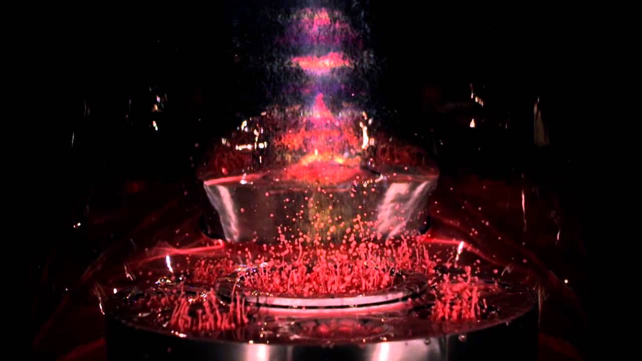 Final Bloom - I'll Be Gone [Official Music Video] - YouTube