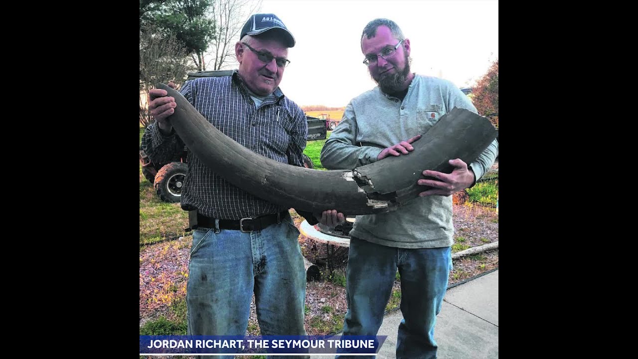 Ancient mastodon bones unearthed on southern Indiana farm - YouTube