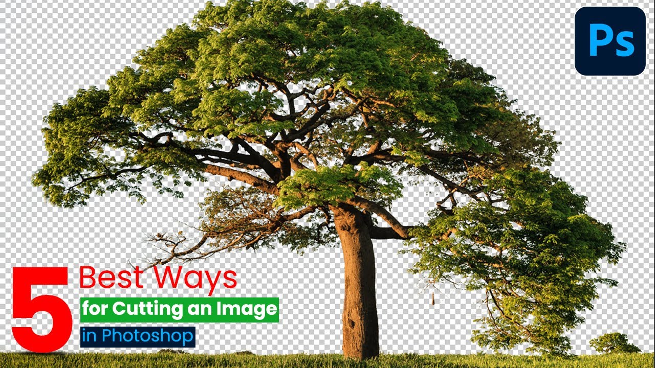 5 Best Ways for How to Cut Out an Image in Photoshop - YouTube