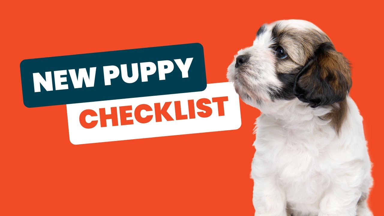 New Puppy Essentials: The Ultimate Checklist for Your Furry Friend ...