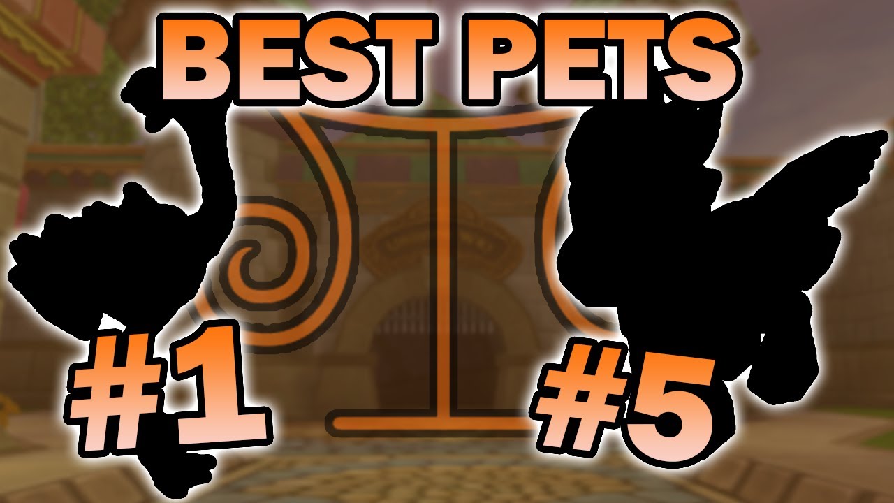 Wizard101: The 5 BEST Balance Pets!!! - YouTube