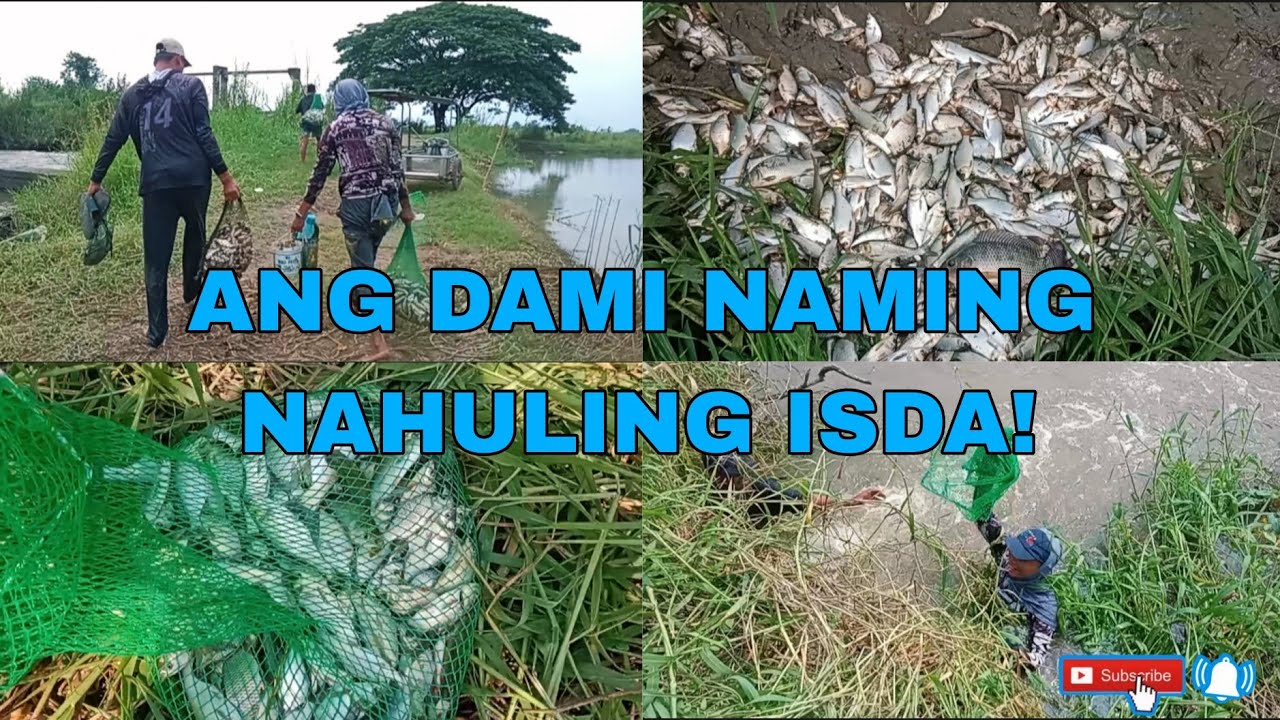 Wala kaming nahuli sa Hook Fishing, pero sulit naman sa Net Fishing! 👌 ...