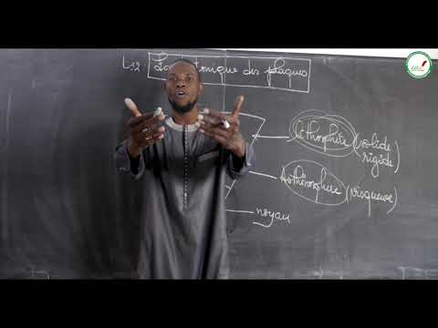 Cours - Troisième - SVT : Géologie / La tectonique des plaques
