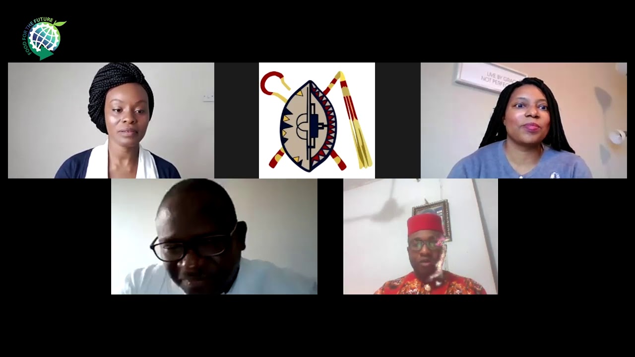 Rebranding Africa with Dr. Ikechi Agbugba and Paul Womango - YouTube