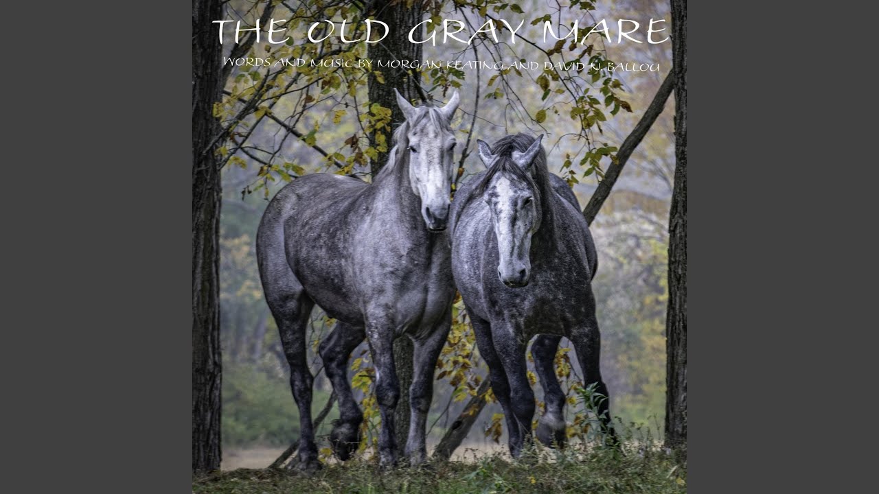 The Old Gray Mare - YouTube