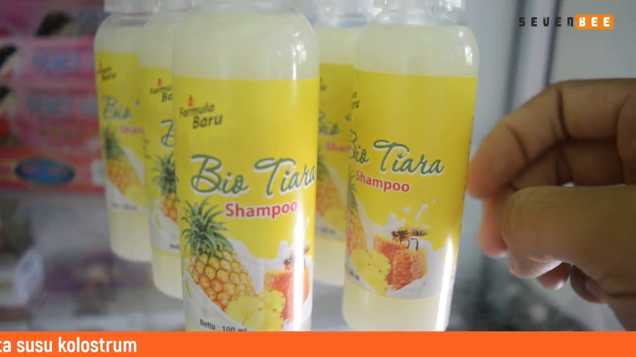 Shampo Herbal Probiotik BioTiara | Solusi Atasi Masalah Rambut Dan ...