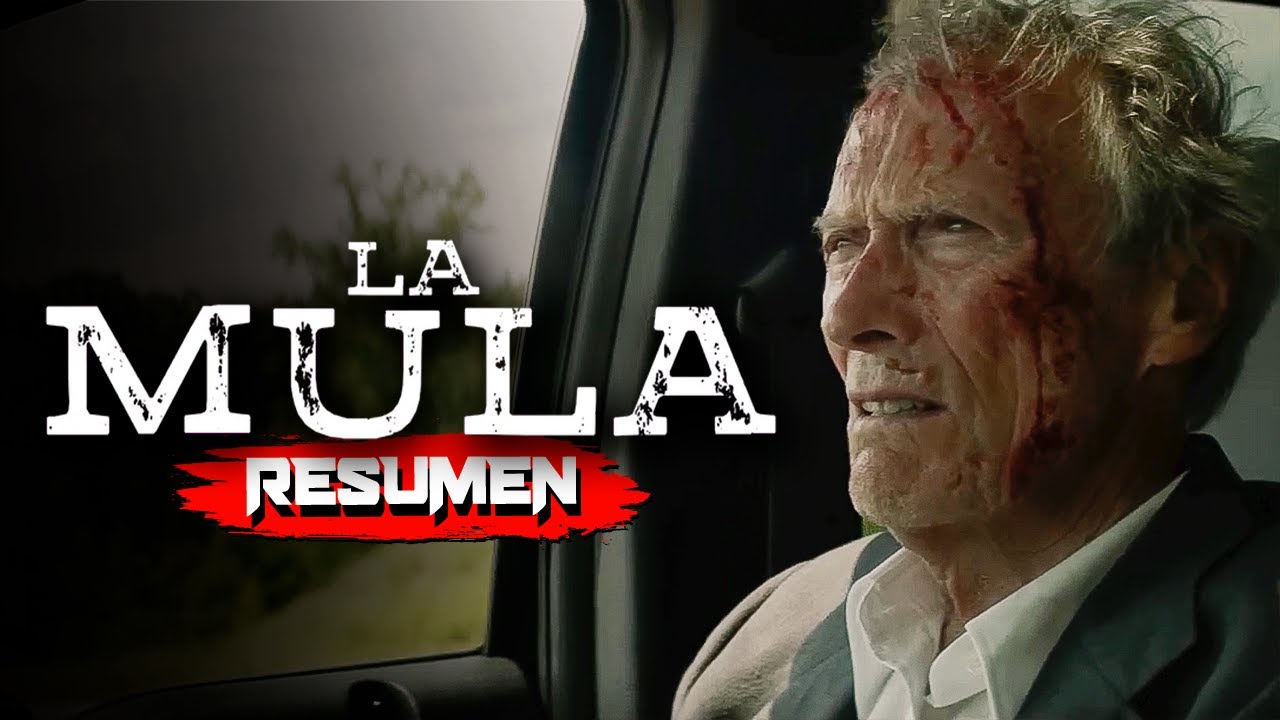 LA MULA (2025) | RESUMEN en 10 MINUTOS - YouTube