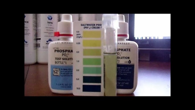 Api Phosphate Test Kit Color Chart Deals Cheapest | www.oceanproperty.co.th