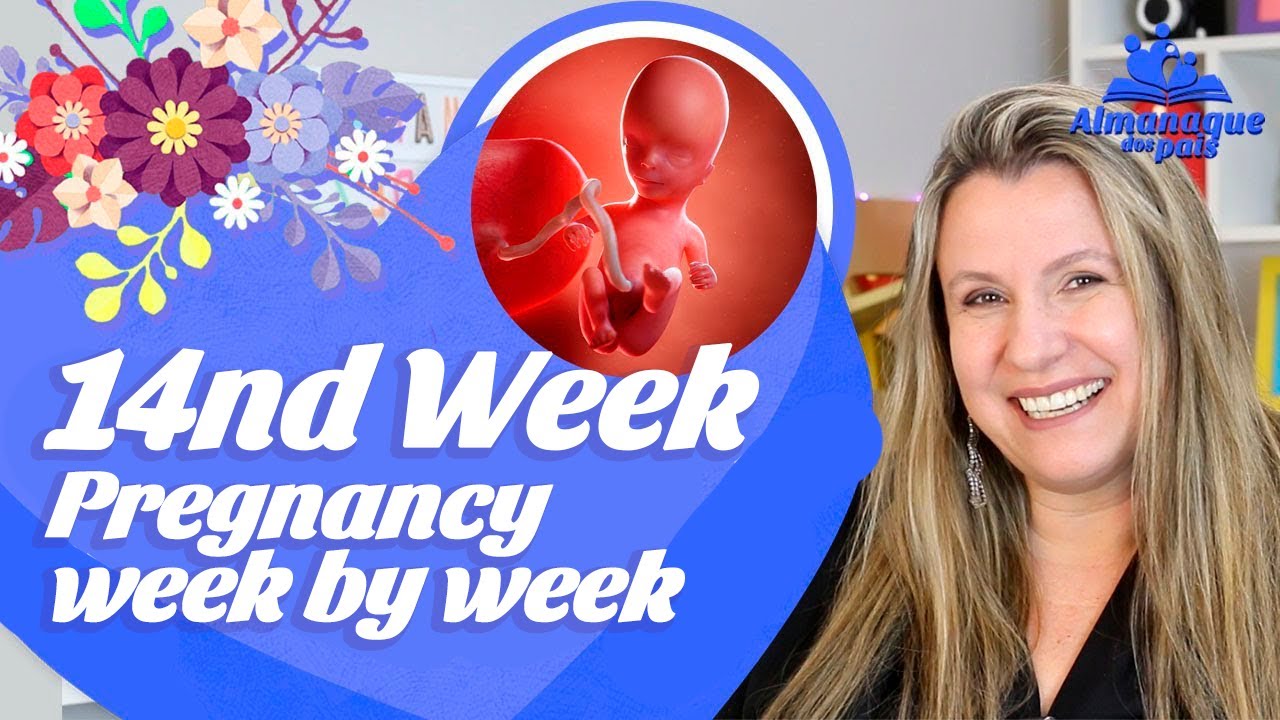 14TH WEEK OF PREGNANCY | Fetal Size, Colostrum, 4-Month Belly | 2ND ...
