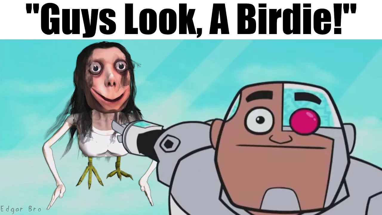 Guys Look, A Birdie! - YouTube