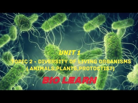 Diversity Of Living Organisms | Unit 1 | Lesson 3 | BIO LEARN - YouTube