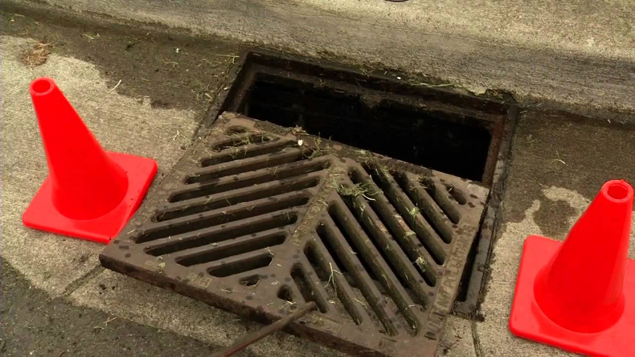 Puyallup Fish Friendly Car Wash Kits - YouTube