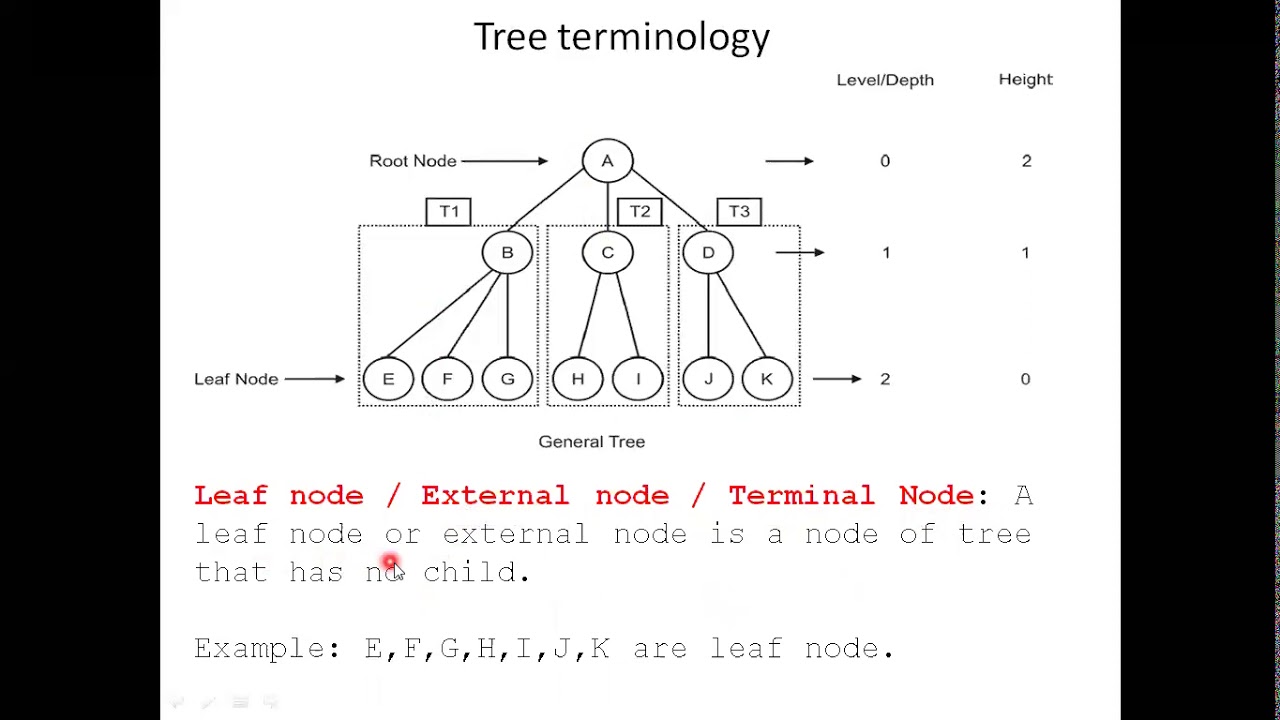 16 Tree-Tree Terminology - YouTube