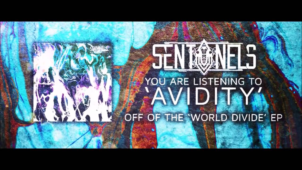 Sentinels - Avidity [Official Song Stream] - YouTube