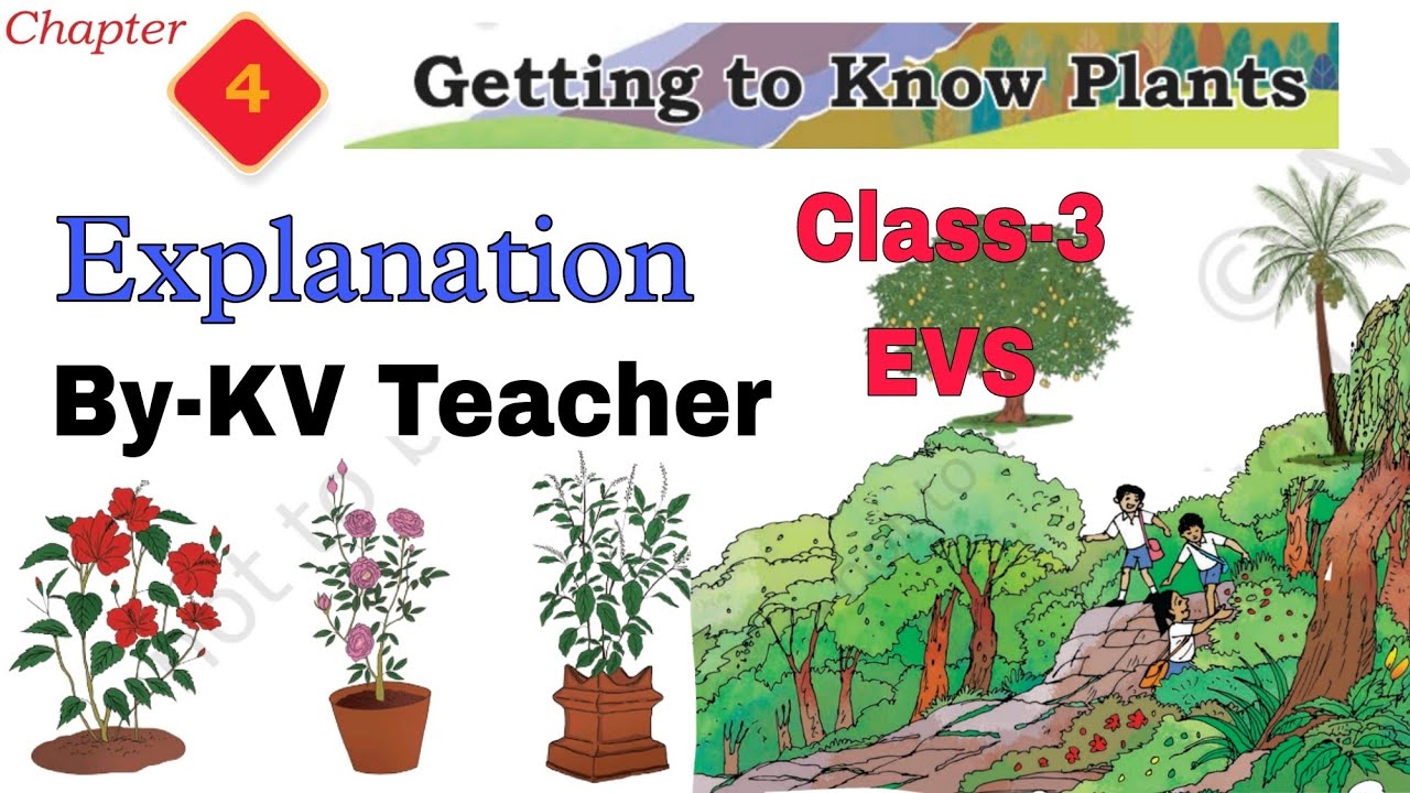(PART-2) Getting to know Plants/ Class-3 EVS (TWAU) New NCERT Chapter-4 ...