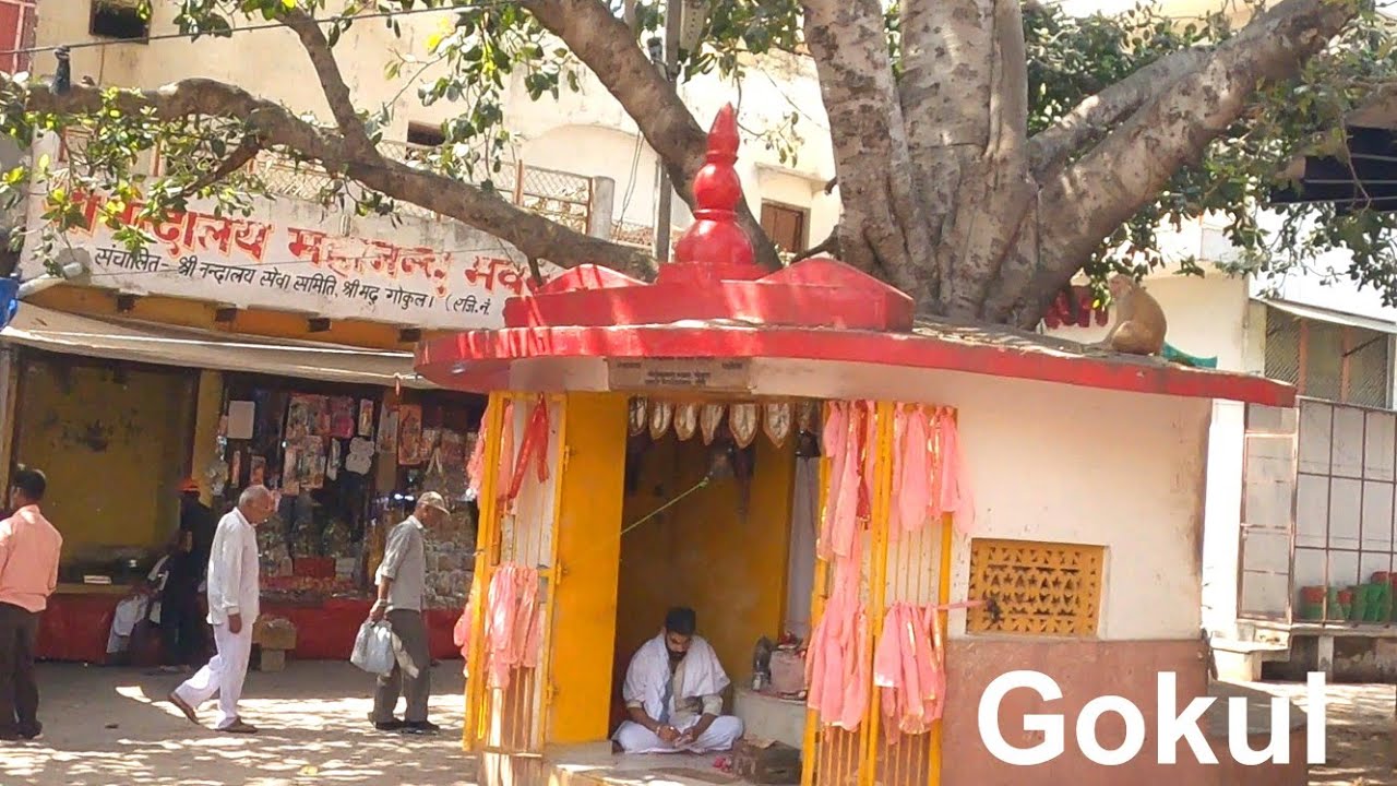 Gokul | Mathura Uttar Pradesh | Manish Solanki Vlogs - YouTube
