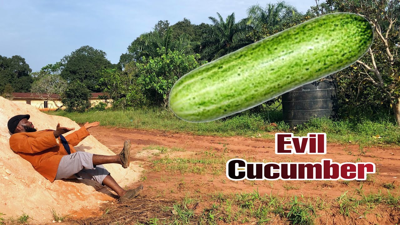 Evil Cucumber 🥒 | Mark Angle Comedy | OGB Recent |Real House of Comedy ...