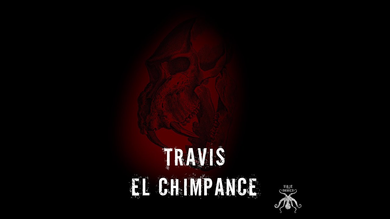 Travis el Chimpance - YouTube