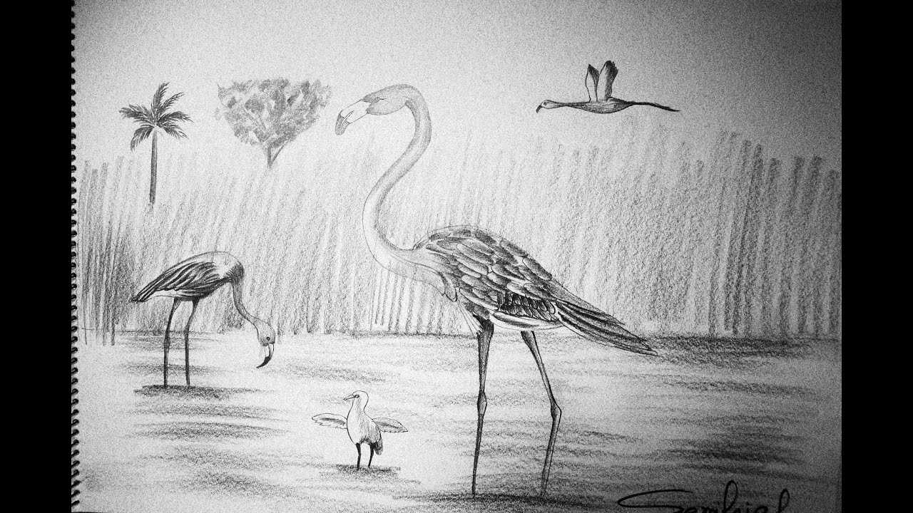 How to draw beautiful Scenery of corn field - YouTube