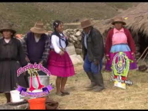 florcita de sucre Cuanto Cuestas (huayno con arpa y violin) - YouTube