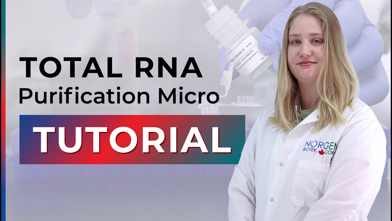 Total RNA Purification Micro Kit Tutorial (Cat. 35300) - YouTube