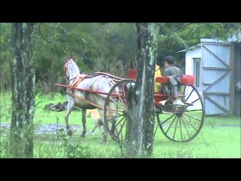 sulky video completo - YouTube