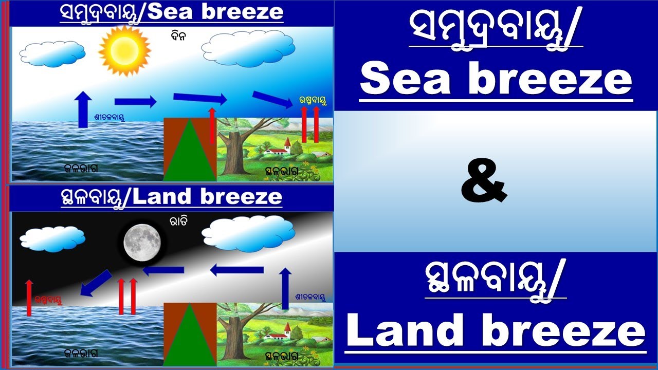 What is Land breeze and Sea breeze|| ସମୁଦ୍ରବାୟୁ|| ସ୍ଥଳବାୟୁ - YouTube