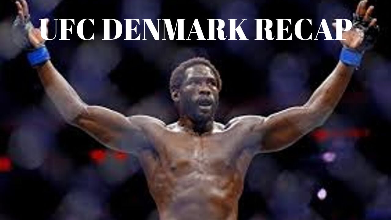 UFC Denmark Recap - YouTube
