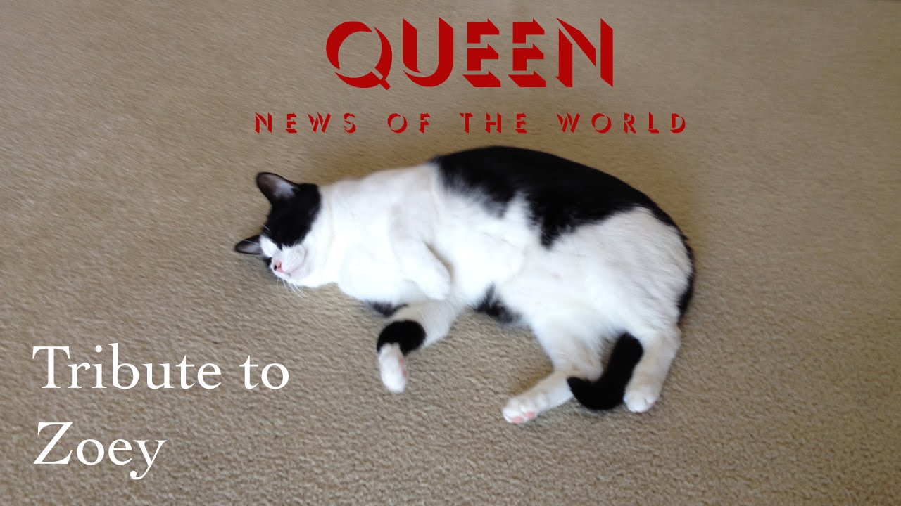 "All Dead, All Dead" - Queen Cover [Cat Tribute] - YouTube