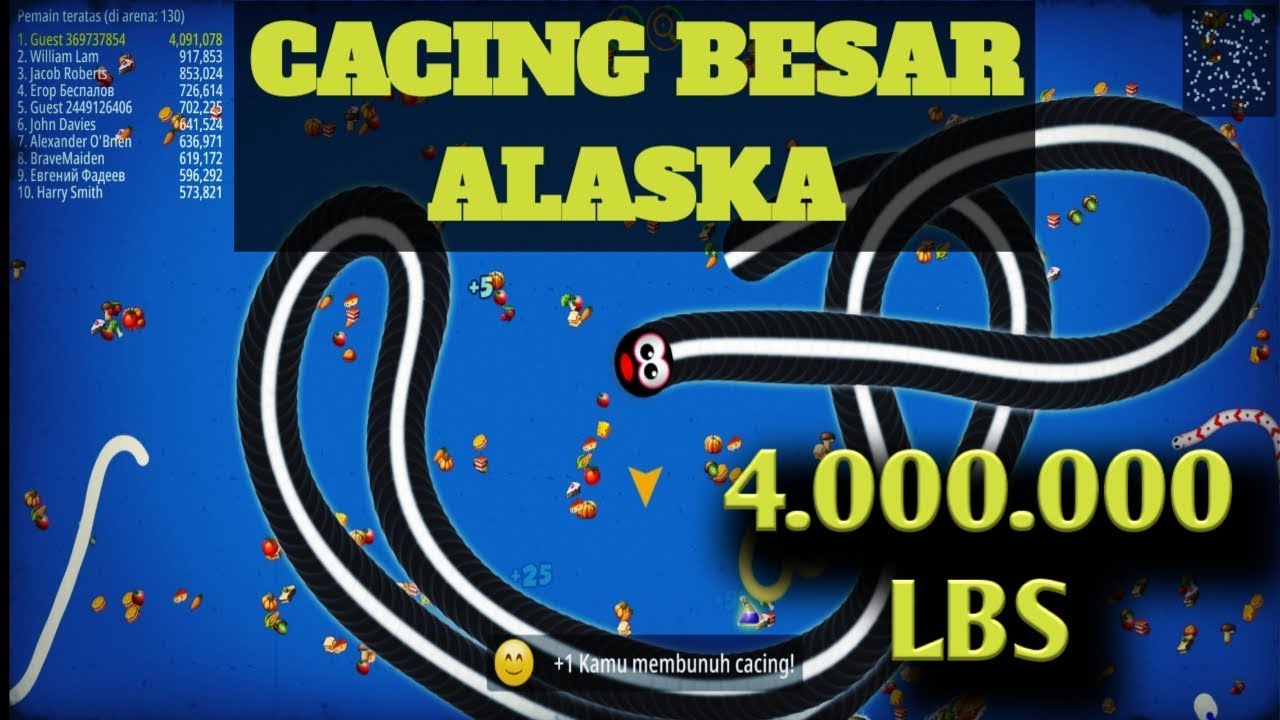 CACING BESAR ALASKA | 4.000.000 Lbs | ZONA CACING.IO - YouTube