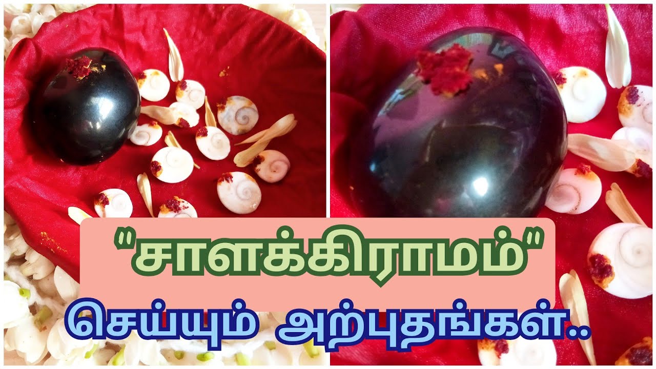 சாளக்கிராமம் வைத்து வழிபடுவதால் கிடைக்கும் நன்மைகள் |Benefits of ...
