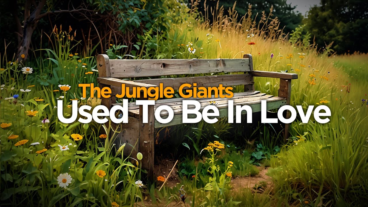 Jungle Giants Quotes