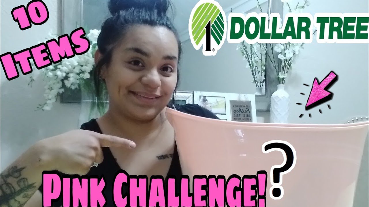 Dollar Tree "PINK CHALLENGE"!. (New Finds!) - YouTube