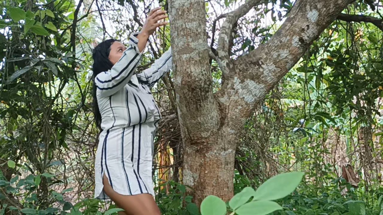 Try to Climb Mango tree (behind the scenes) - YouTube