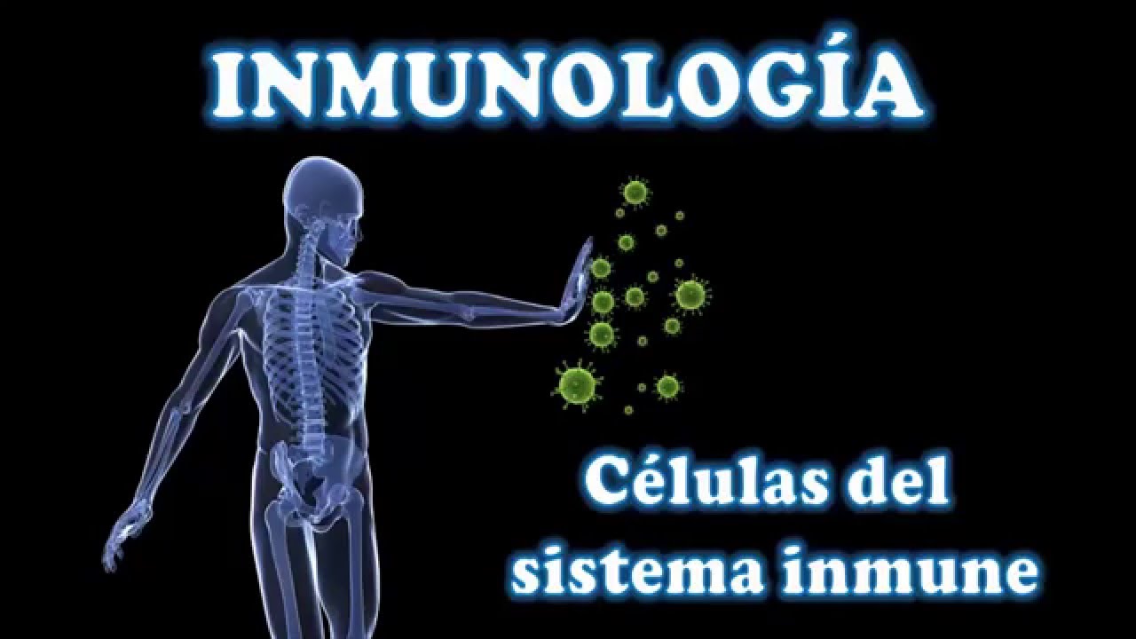 INMUNOLOGÍA 2. Células del sistema inmune - YouTube