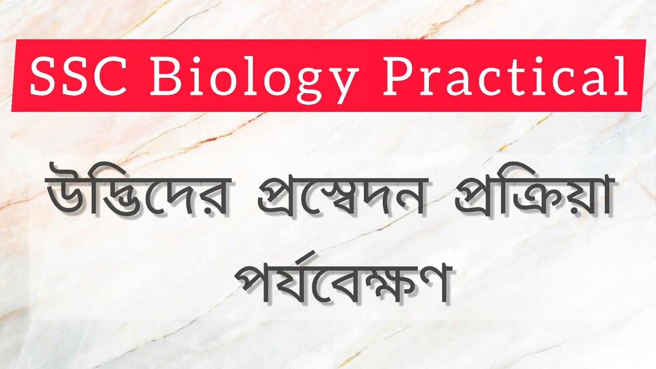 SSC Biology Practical..উদ্ভিদের প্রস্বেদন প্রক্রিয়া পর্যবেক্ষণ এর চিএ ...