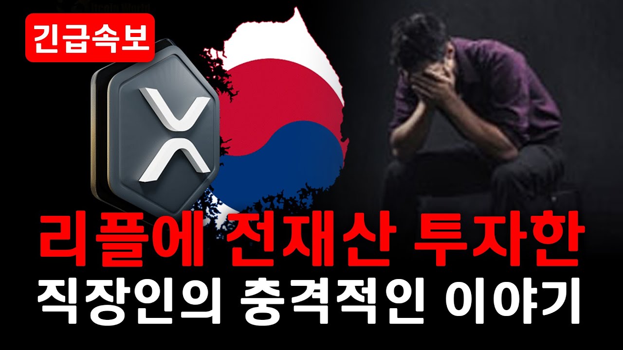 리플 코인투자에 전재산을 투자했습니다 결과 공개합니다 리플 코인투자 돈버는법 재테크 비트코인 리플전망 Youtube