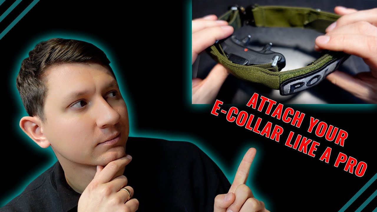 How To Attach Your E-Collar to Your K9 Storm ID Collar in 5 Easy Steps - YouTube