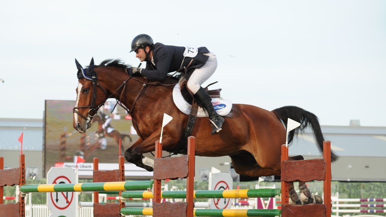 Show Jumping - 2018 Royal Melbourne Show - YouTube