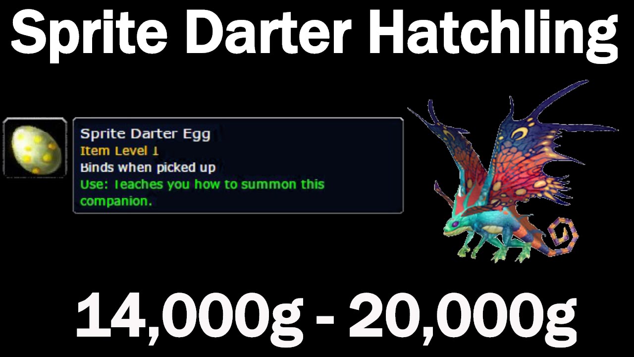 Sprite Darter Hatchling Battle Pet! 14,000-20,000 Gold! - YouTube