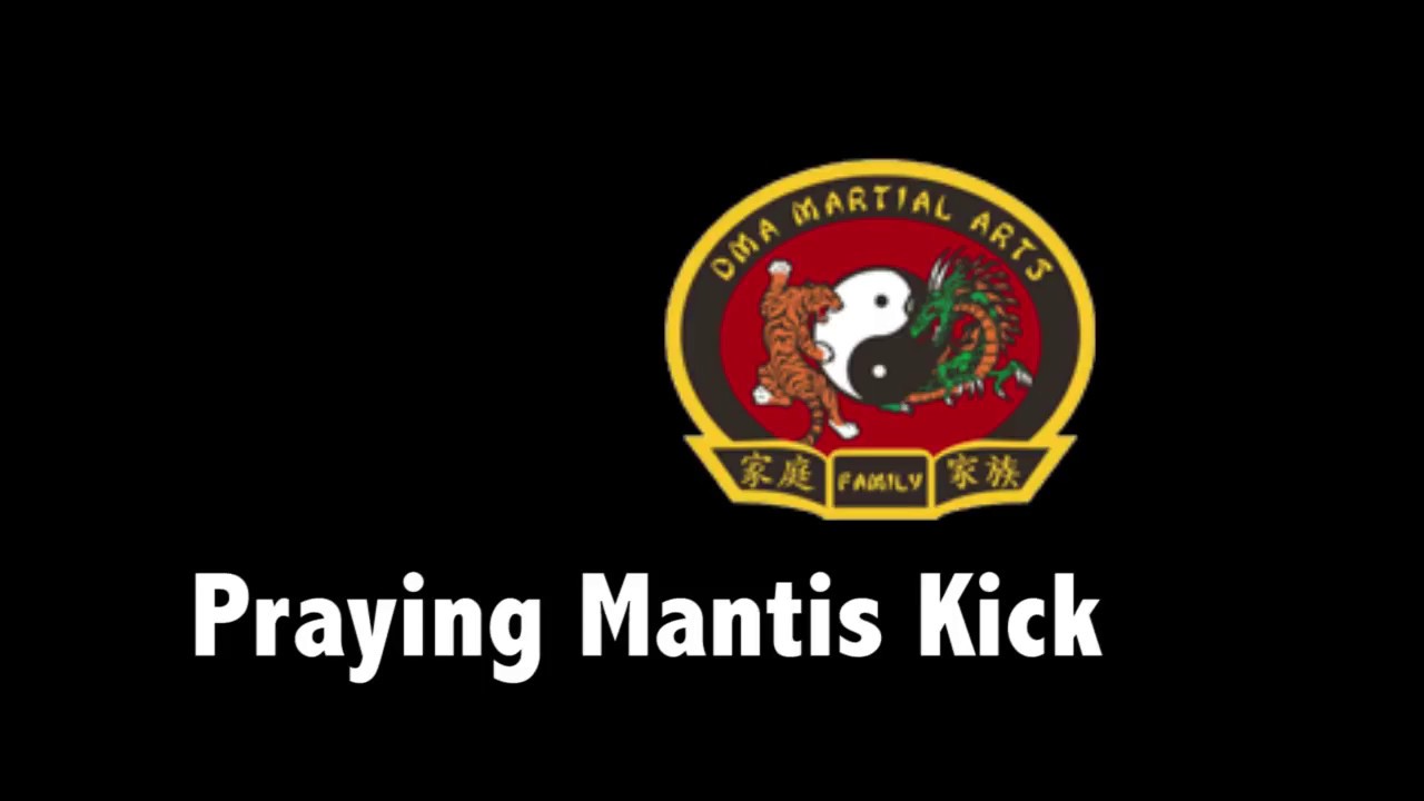 Praying Mantis Kick - YouTube