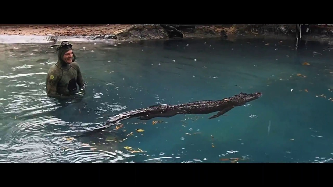 Diving with alligators, close call! - YouTube