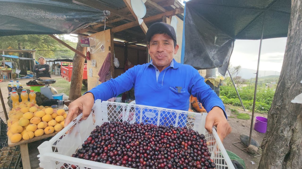 PROBANDO LA DELICIOSA FRUTA DE LOS ANDES Y LAS MÁS DULCE 👉😋🍒🏔🇵🇪 - YouTube