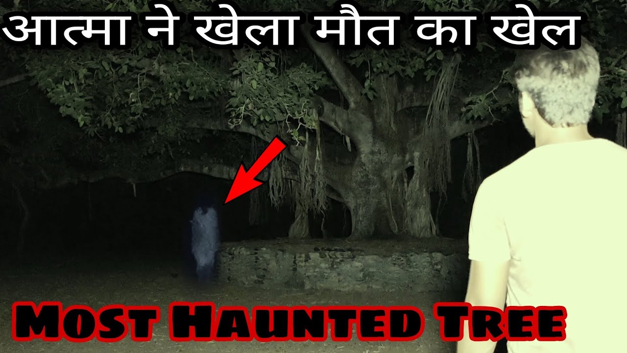 The Most Haunted Tree - Soul Played The Game Of Death - दम हो तो ही ...
