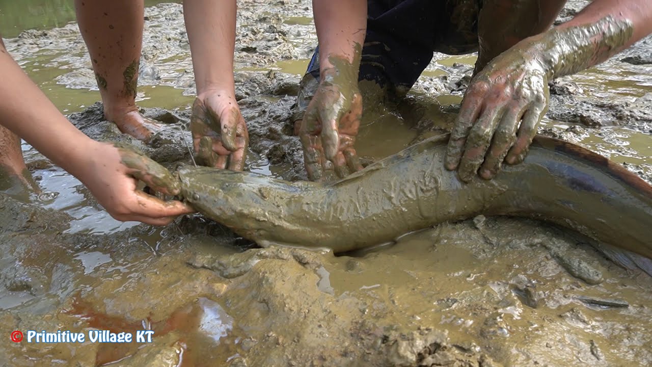 Survival Skills: Find Big Catfish In The Dry Season - Primitive skills ...