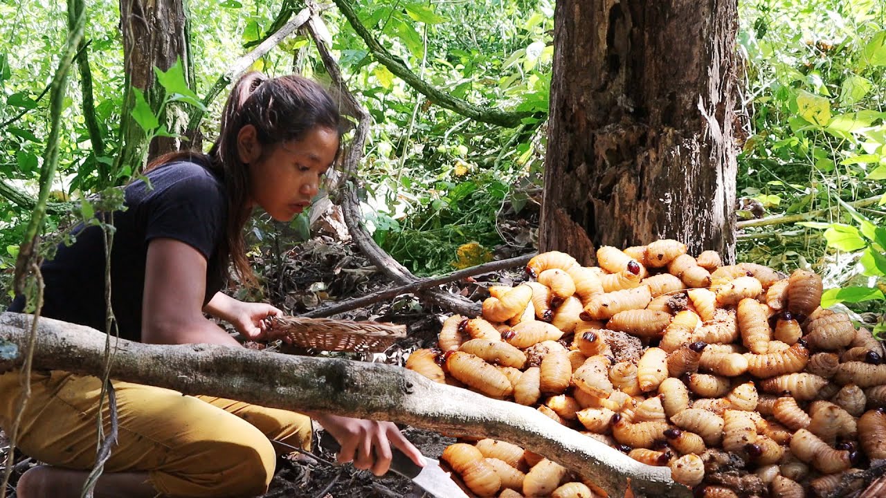 Survival cooking in forest- Found worm in Fragile trees for food - Worm ...