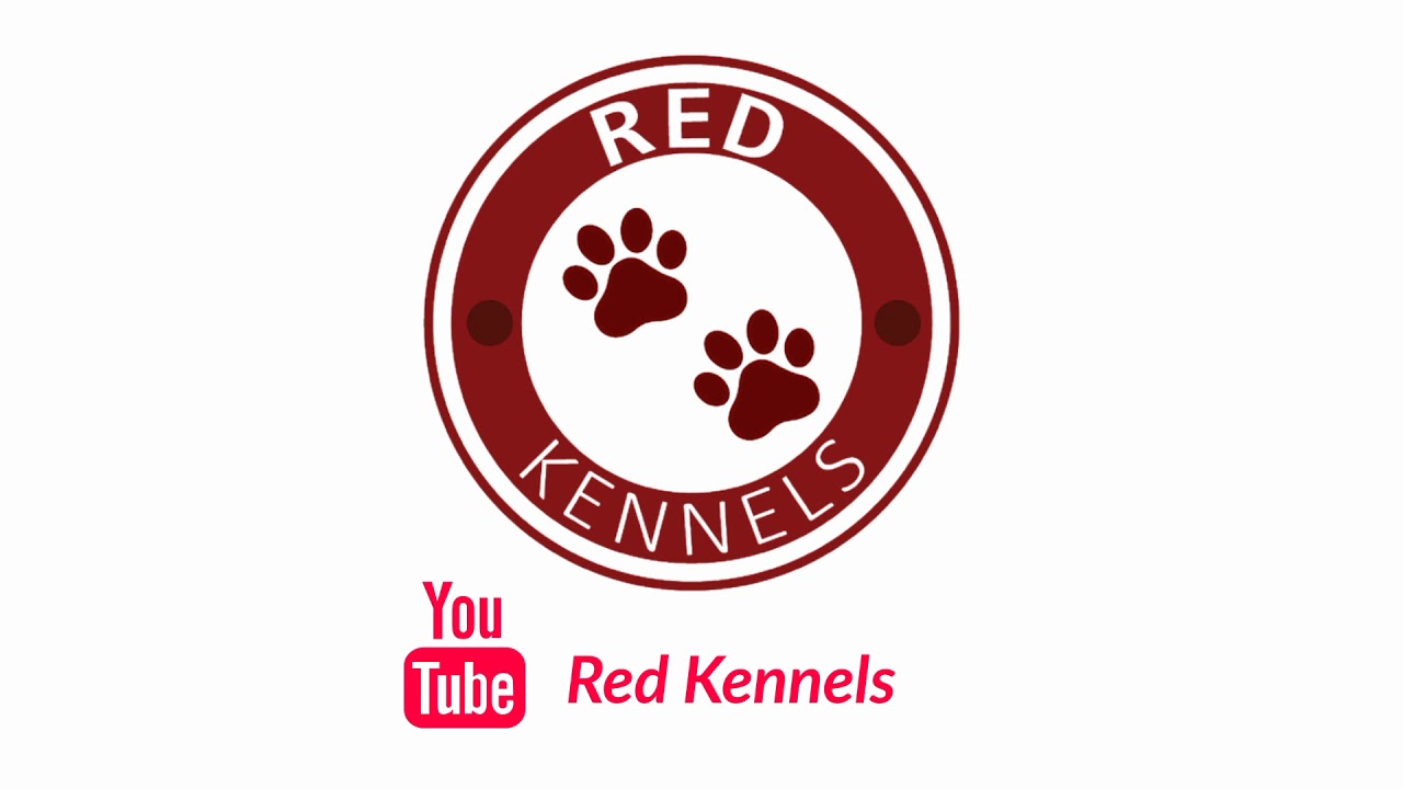 Red Kennels.. puppies - YouTube