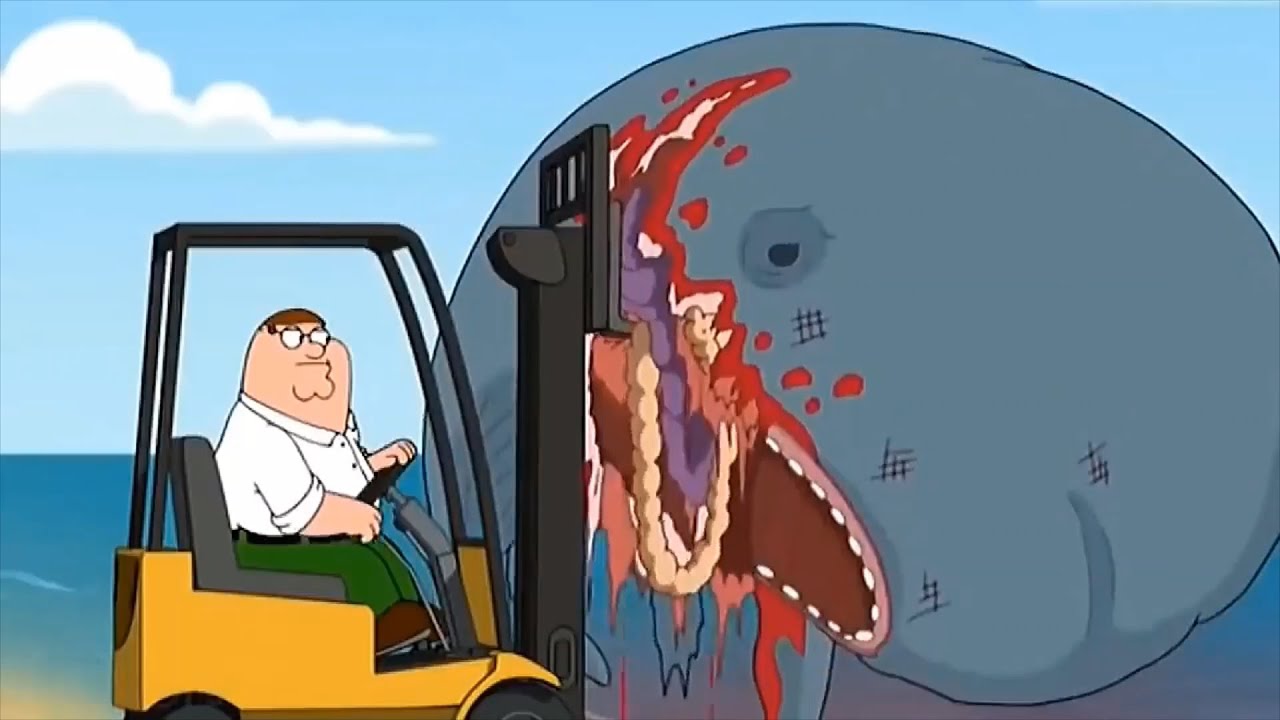 Peter "saves" a beached whale with a forklift - YouTube