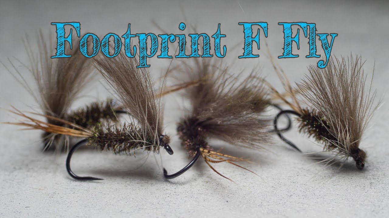 Footprint F Fly By Michael Olesen - YouTube